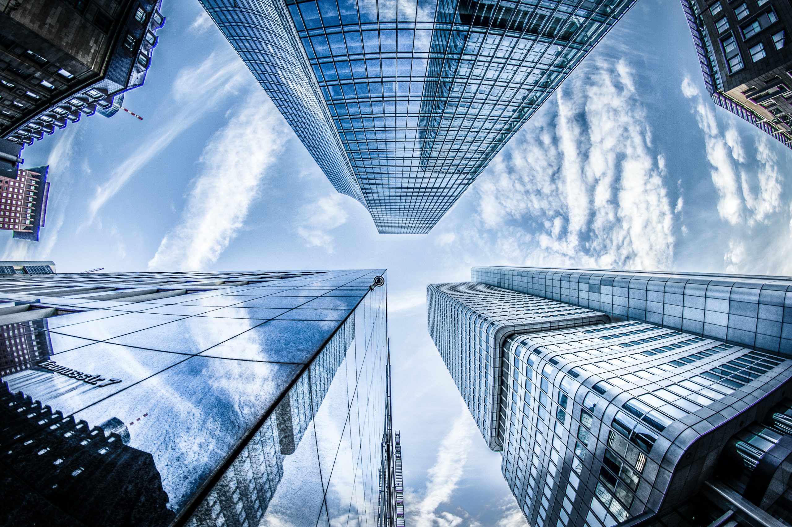 Norman K | Your Neo-Investment Partner